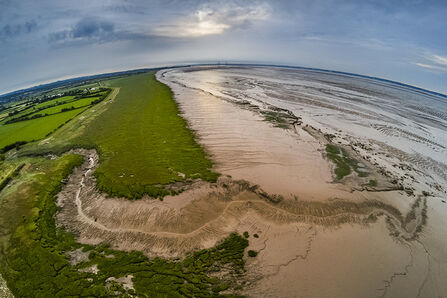 The Gwent Levels - a landscape under threat | The Wildlife Trusts