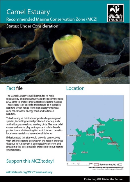 Western Channel and Approaches Marine Conservation Zones | The Wildlife ...