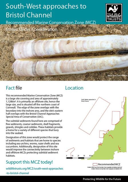 Western Channel and Approaches Marine Conservation Zones | The Wildlife ...