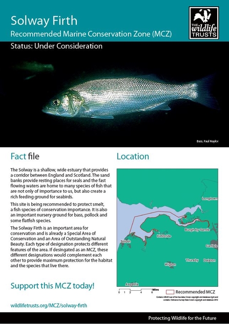 Irish Sea Marine Conservation Zones | The Wildlife Trusts