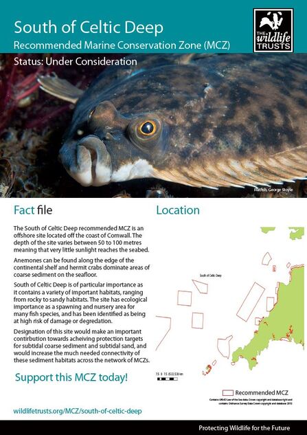 Western Channel and Approaches Marine Conservation Zones | The Wildlife ...