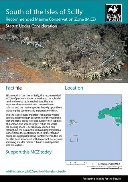 Western Channel and Approaches Marine Conservation Zones | The Wildlife ...