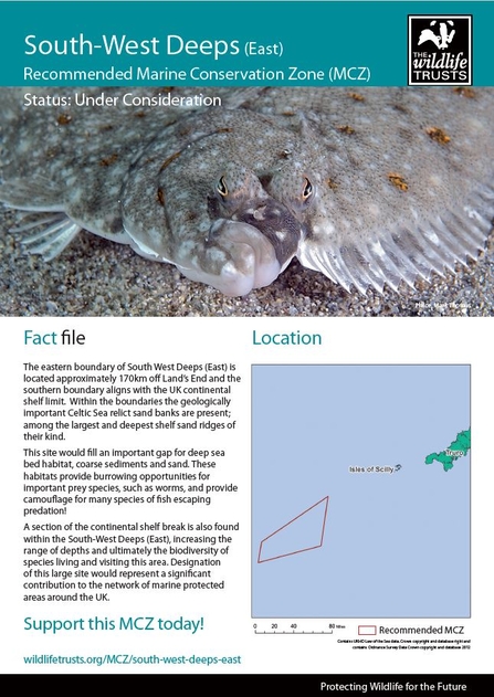 Western Channel and Approaches Marine Conservation Zones | The Wildlife ...