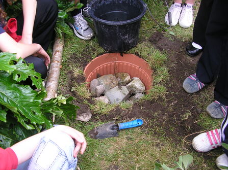 How to create a mini pond | The Wildlife Trusts
