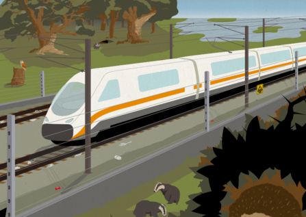 Why HS2 still need to stop and rethink plans | The Wildlife Trusts
