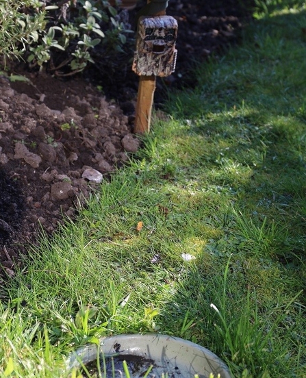 How to use a camera trap | The Wildlife Trusts