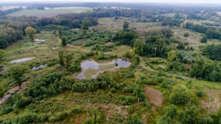 Ice age pool restoration at Thompson Common | The Wildlife Trusts