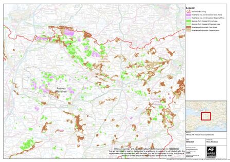 Mendip Hills in Somerset | The Wildlife Trusts