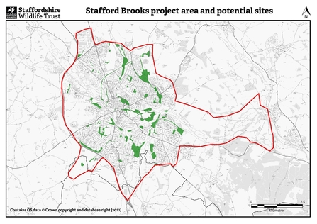 Bringing Stafford Borough’s Nature Recovery Network map to life | The ...