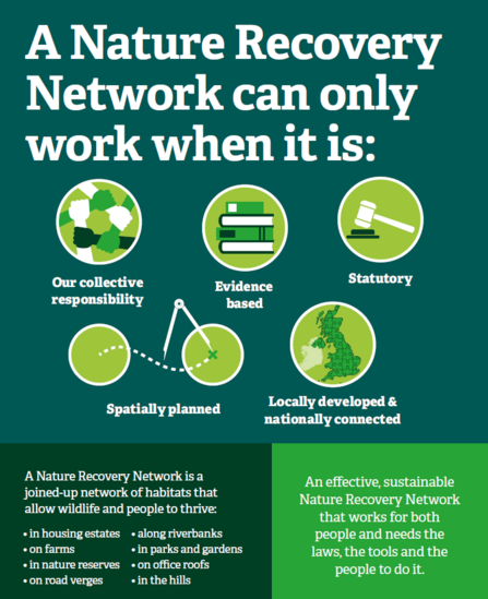 Space for nature | The Wildlife Trusts