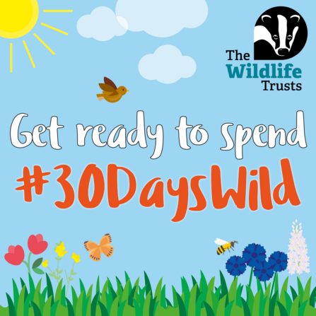 Take a walk on the wild side... 30 Days Wild, the UK’s biggest nature ...