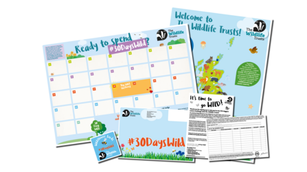 30 Days Wild 2023 - thanks for registering your interest | The Wildlife ...