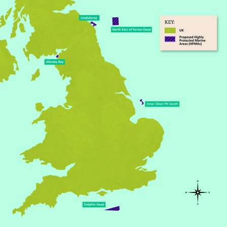 Give our seas better protection! | The Wildlife Trusts