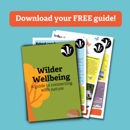 Wilder Wellbeing guide | The Wildlife Trusts