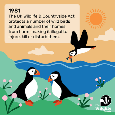 Little tangible progress for nature at COP27 as the world heads to ...