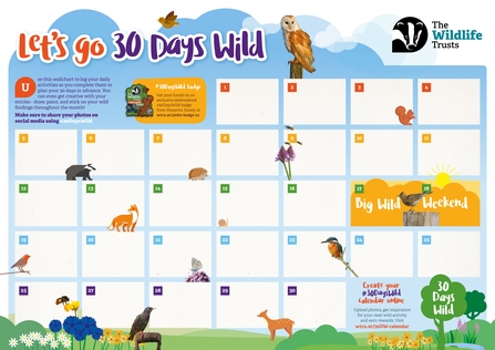 The Wildlife Trusts’ big nature challenge – 30 Days Wild – is back this ...