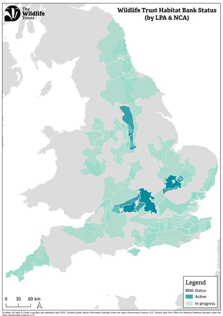 Biodiversity Net Gain (BNG) | The Wildlife Trusts