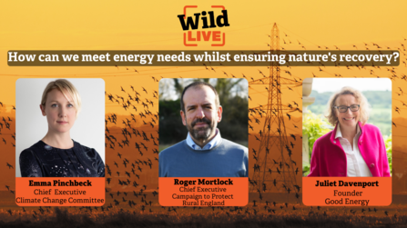 Wild LIVE | The Wildlife Trusts