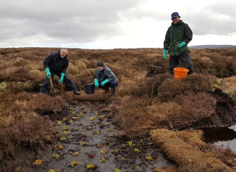 Peatland restoration in Northumberland | The Wildlife Trusts