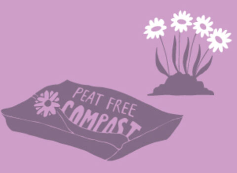 Environmental groups and Monty Don write to Government calling for end ...