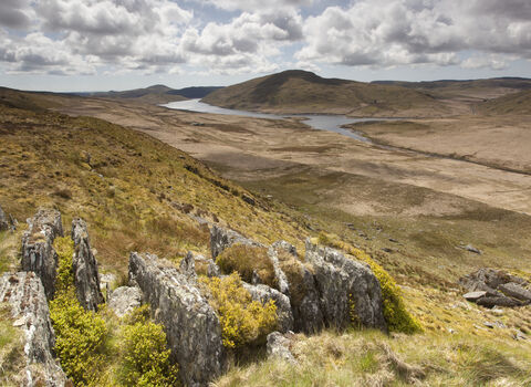 Peatland | The Wildlife Trusts