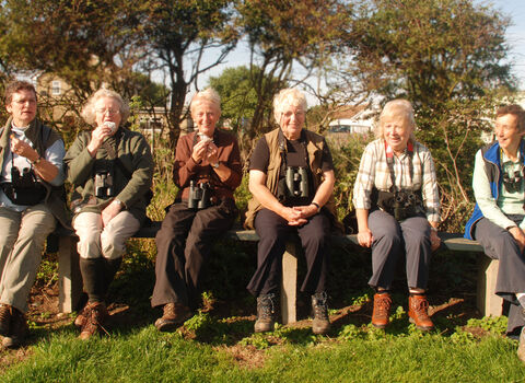 30 Days Wild at Langwith Lodge Residential Home | The Wildlife Trusts