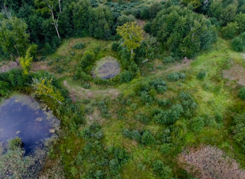 Ice age pool restoration at Thompson Common | The Wildlife Trusts