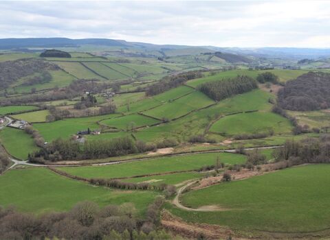 Philanthropic loans | The Wildlife Trusts