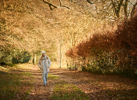 Big Wild Walk | The Wildlife Trusts