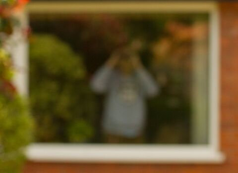 12 Days Wild | The Wildlife Trusts