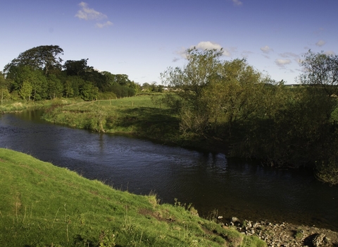 Bringing Stafford Borough’s Nature Recovery Network map to life | The ...